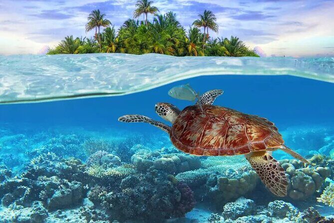 Bahamas Local Water Tours to George Town and Exuma - The Overall Experience and What It Means for You