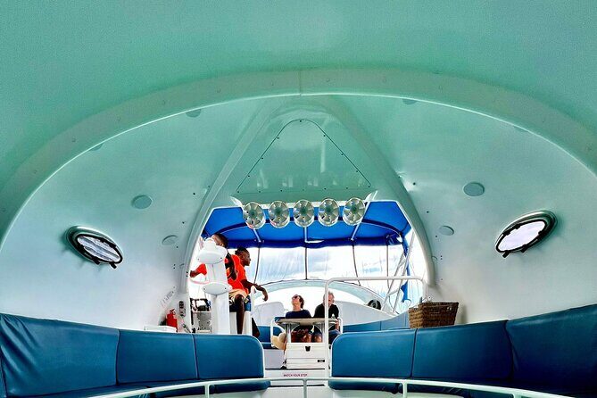 Bahamas on a Semi Submersive Glass Bottom Boat - Final Thoughts: Who Will Love This Tour?