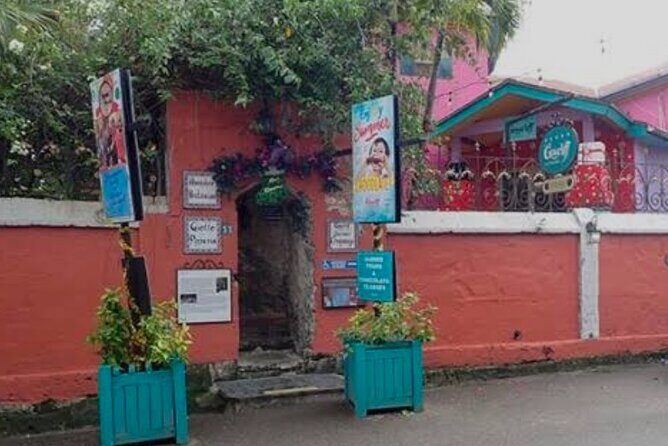 Bahamas Private Minivan Transport - Authentic Experiences and Real-World Insights