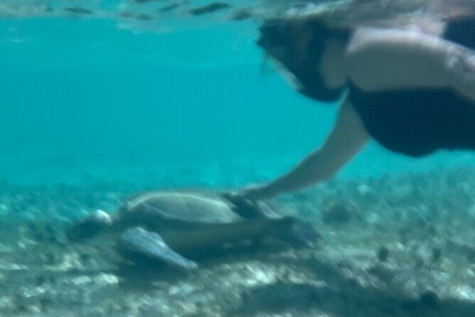 Bahamas Sea Scooter Snorkeling Adventure - Final Thoughts: Is This Tour Worth It?