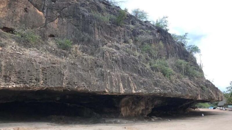 Bahía de las águilas glamping experience from Santo Domingo - Who Will Love This Tour?