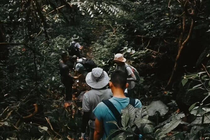 Bai Dinh, Trang An, Mua Cave, Cuc Phuong National Park 2 Day Tour - Day 2: Into the Heart of Nature at Cuc Phuong