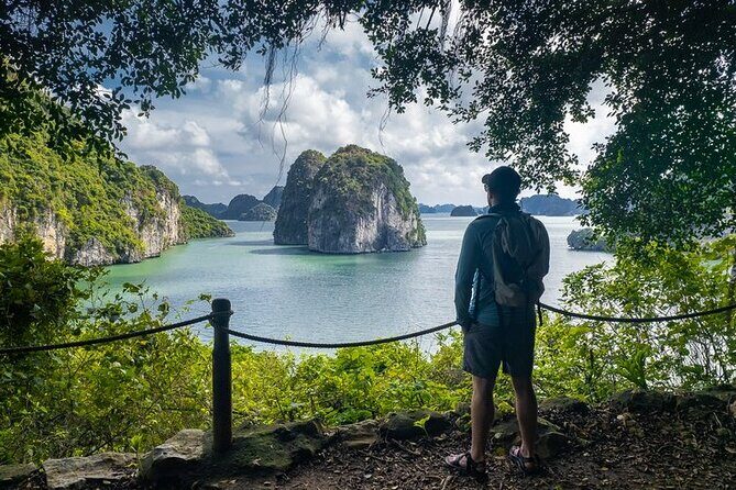 Bai Tu Long Bay Day Cruise with Pick Up from Ninh Binh - Final Thoughts