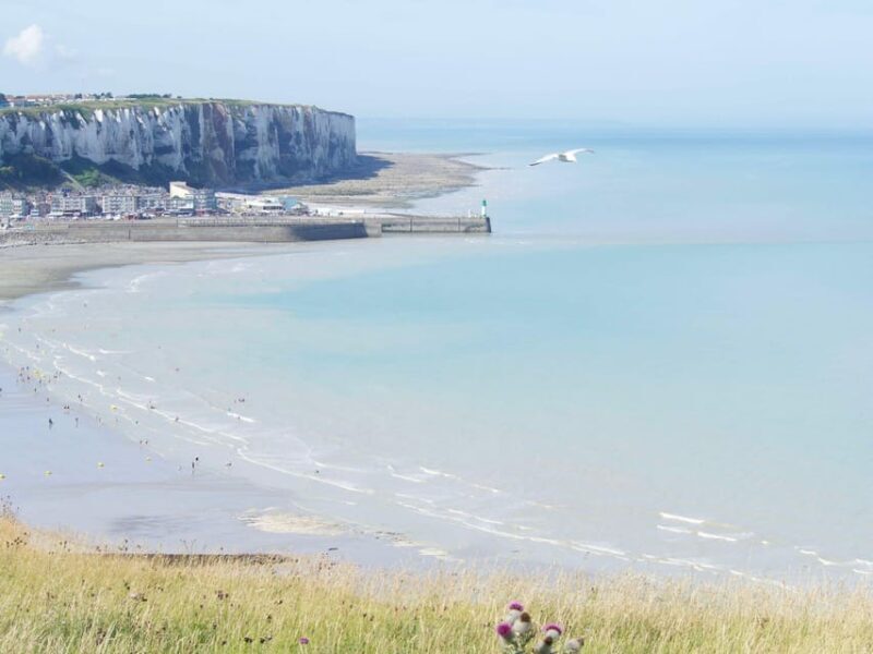 Baie de Somme: Day tour of the Picardy coastline - An In-Depth Look at the Baie de Somme Day Tour