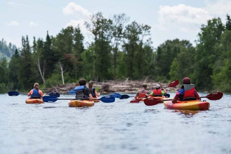Baie-Saint-Paul - Gouffre River, kayak descent: 20 km of adventure - Wildlife and Nature: A Highlight of the Gouffre River