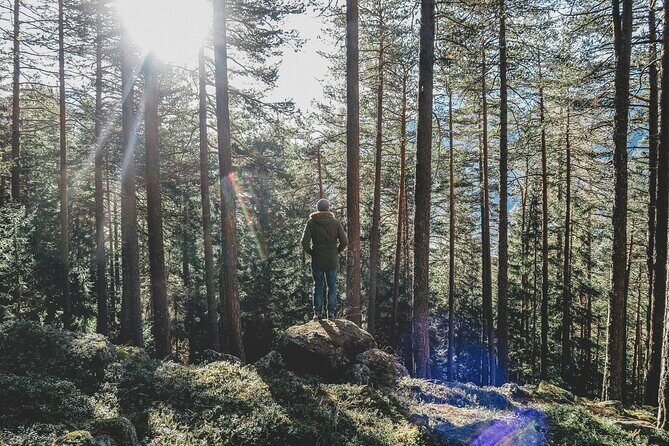 Bainbridge Island Serenity Forest Hike & Cultural Landmarks Tour - The Practicalities & What You Can Expect
