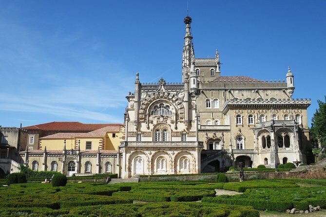 Bairrada Private Tour (Luso & Curia Villages) with Wine Tasting - A Well-Curated Day of Wine, Waters, and Wonder