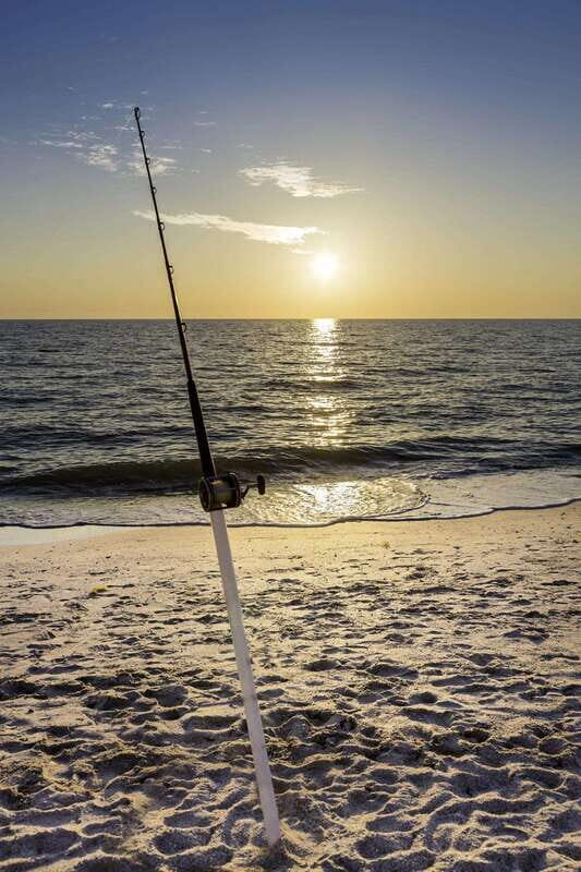 Baja: Adventure Shore Fishing - Explore La Ventana on ATV - An Authentic Baja Adventure: What to Expect