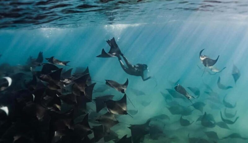 Baja Sur 4 days / 3 nights - What’s Included and What to Consider