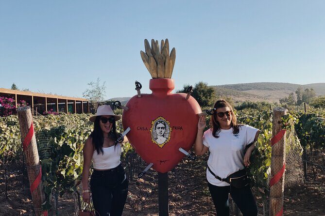 Baja Tour Guide wine tour - The Value of the Experience