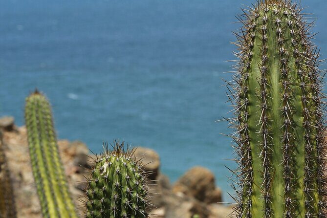 Baja UTV Adventure Canyon Exploration and Tequila Tasting - Authenticity and Practical Advice