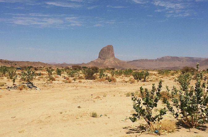 Baja UTV Adventure Canyon Exploration and Tequila Tasting - Final Thoughts: Is It Worth It?