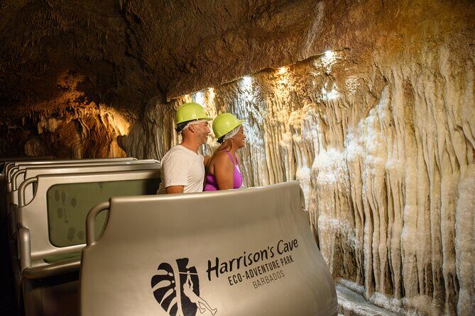 Bajan Nature Art Tour: Flower Forest, Pottery and Cave Adventure - Frequently Asked Questions