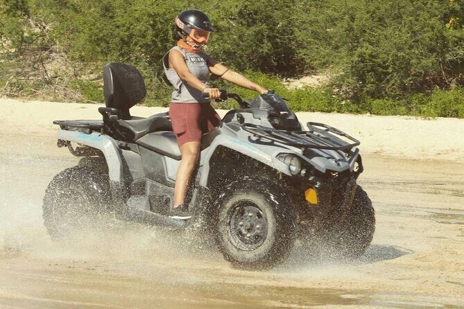 Baja's ATV Desert and Beach Tour - Authenticity and the Value for Money