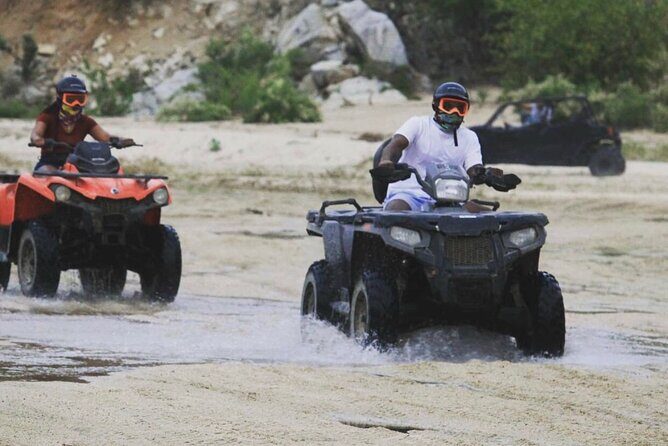 Baja's ATV Desert and Beach Tour - What People Love Most
