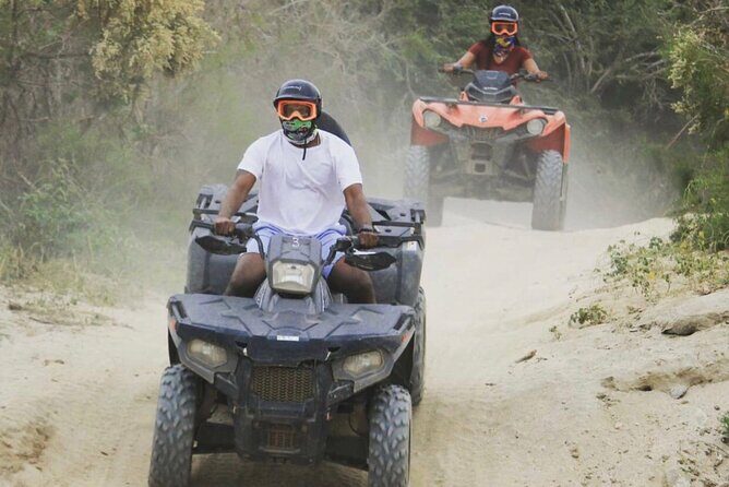 Baja's ATV Desert and Beach Tour - Who Will Love This Tour