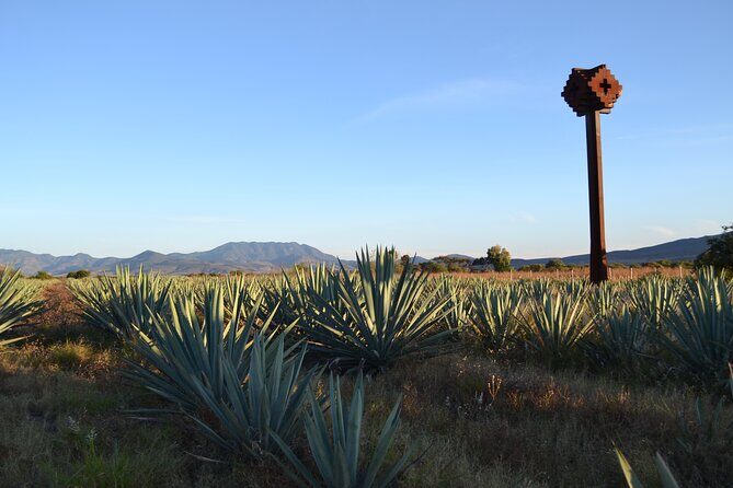 Bajas Hidden Feast: From Smoky Mezcal to Seefood Cuisine - FAQ