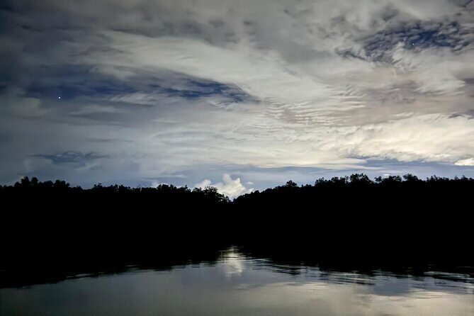 Bako National Park by Night from Kuching - Key Points