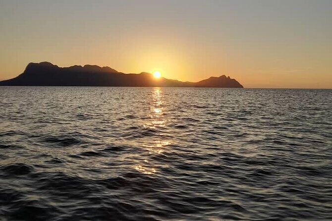 Bako National Park by Night from Kuching - FAQ