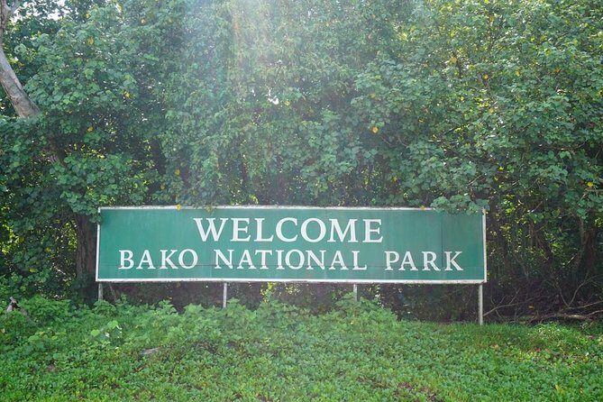 Bako National Park - Final Thoughts