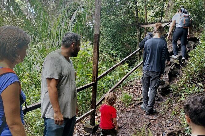 Bako National Park : Nature & Wildlife - An Overview of the Experience