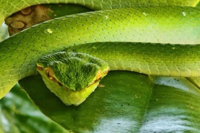 Bako National Park : Nature & Wildlife - Who Should Consider This Tour?