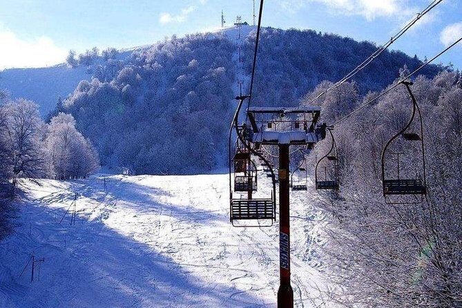 Bakuriani ski resort and the legendary Borjomi (Group Tour) - Who Will Love This Tour?