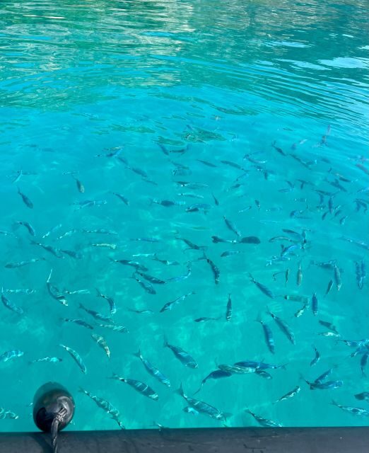 Balade en mer de Villefranche sur Mer & stop baignade - FAQ