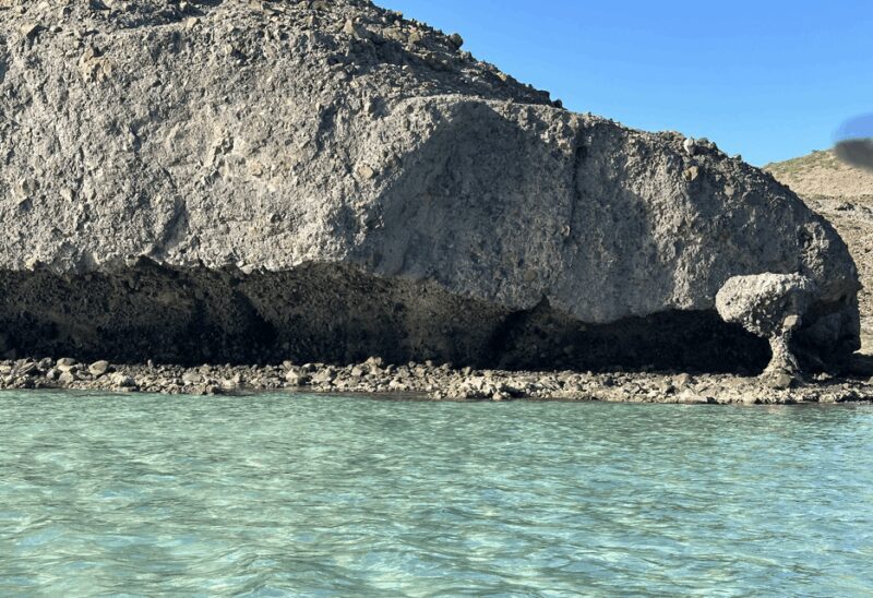 Balandra and Tecolote Beaches Day Trip with Lunch - Final thoughts on value