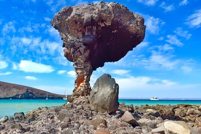 Balandra and Todos Santos Beach Tour from Los Cabos - An In-Depth Look at the Tour Experience