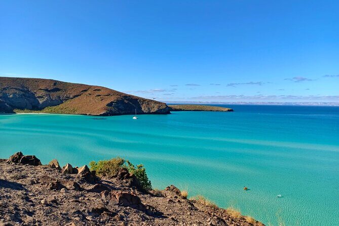 Balandra and Todos Santos Beach Tour from Los Cabos - Who Will Love This Tour?