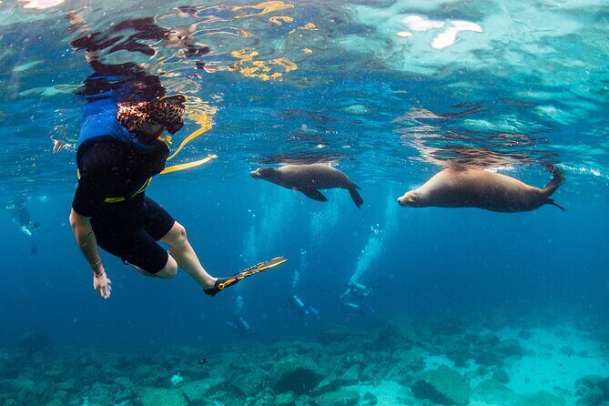 Balandra Bay Snorkeling Adventure - Budgeting the Experience: Is It Worth the Price?