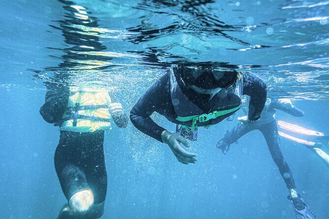 Balandra Bay Snorkeling Adventure - Who Will Appreciate This Tour?