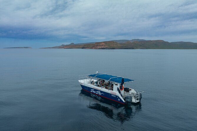 Balandra Bay Snorkeling Adventure - Final Verdict