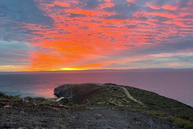 Balandra Beach and Sea Lions Private Tour - Practical Tips for Your Trip