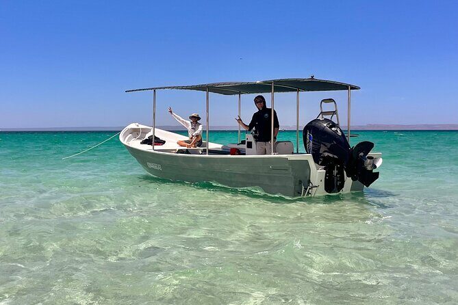 Balandra Beach and Sea Lions Private Tour - Who Is This Tour Best For?