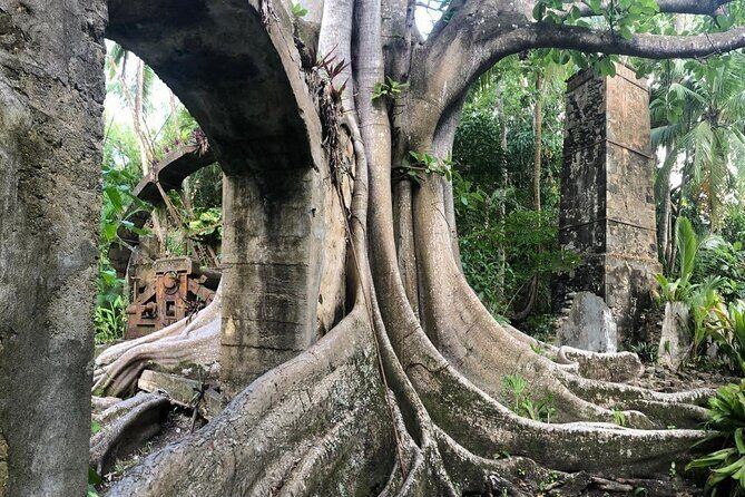 Balembouche Estate Sugar Mill and Beach Tour - FAQ