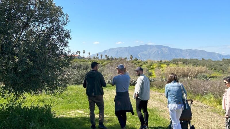 Balestrate: Olive Grove Tour with Wines & Olive Oil Tasting - An In-Depth Look at the Olive Grove Experience