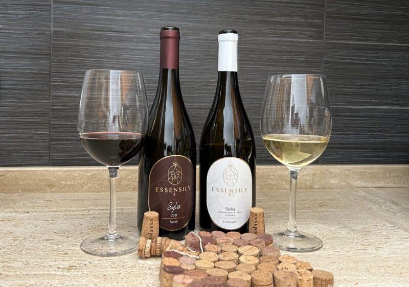 Balestrate: Olive Grove Tour with Wines & Olive Oil Tasting - Sample of Guest Feedback