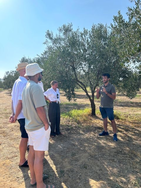 Balestrate: Olive Grove Tour with Wines & Olive Oil Tasting - FAQs
