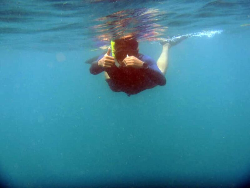 Bali: 1 Hour Snorkeling at Nusa Dua Beach - The Practical Side: Logistics and Tips