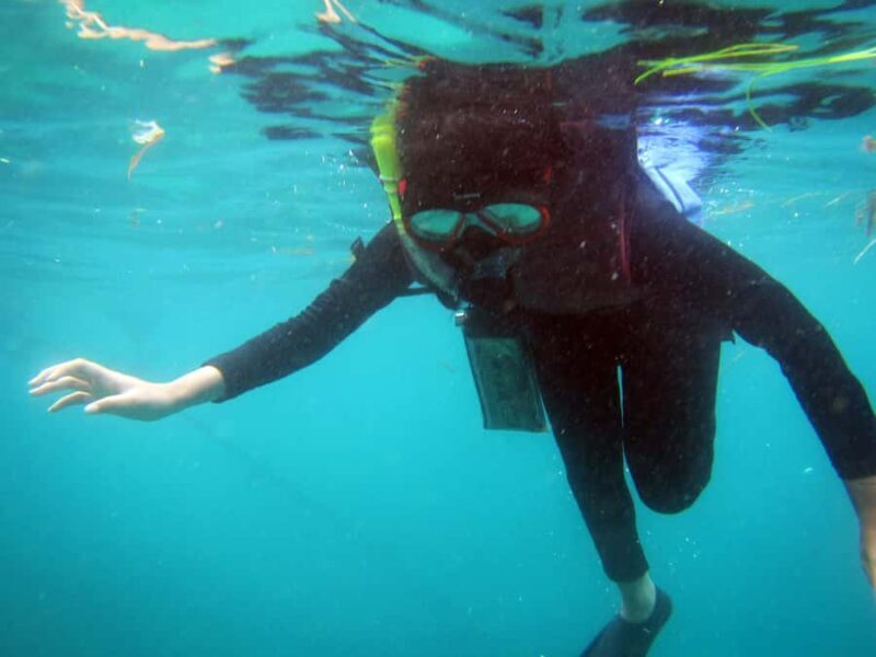 Bali: 1 Hour Snorkeling at Nusa Dua Beach - Who Should Consider This Tour?