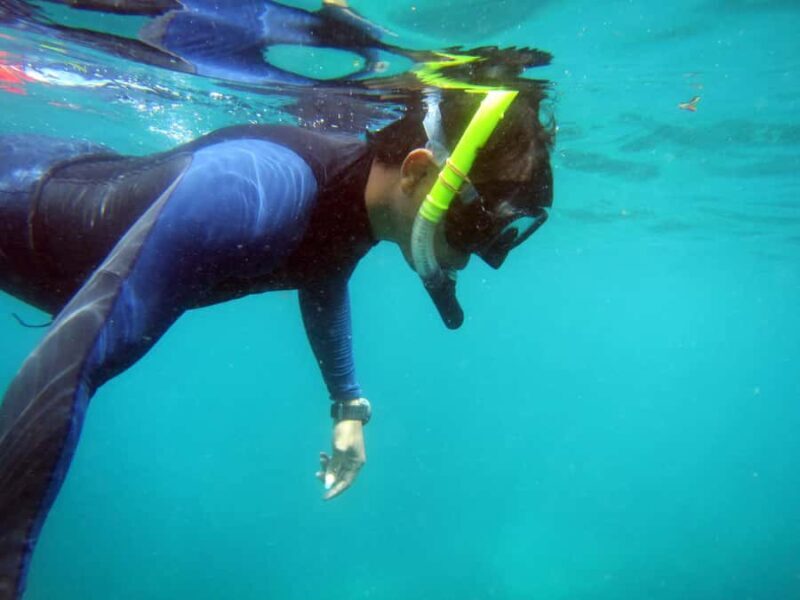 Bali: 1 Hour Snorkeling at Nusa Dua Beach - The Sum Up