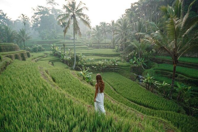 Bali 2 Days All-Inclusive Nusa Penida and Ubud Package - Why This Tour Brings Value