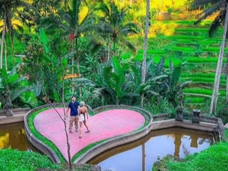 Bali: 3-Day Honeymoon Tour W/Private Car & Customize Tour - The Sum Up