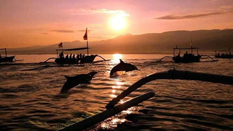 Bali: 3-Day North Bali Tour with Dolphin Watching - In The Sum Up