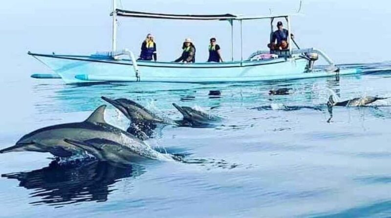 Bali: 5-Day North Bali Coastal Wine & Dolphin Tour Package - Exploring the 5-Day North Bali Coastal Experience