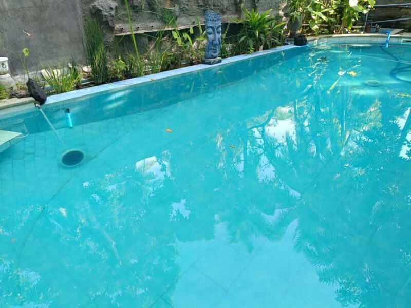 Bali: 5-Day North Bali Coastal Wine & Dolphin Tour Package - Final Thoughts