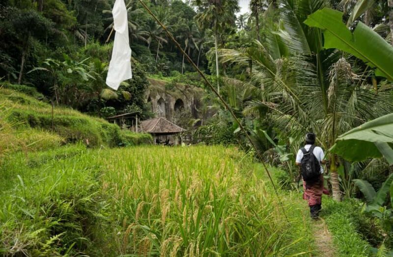 Bali: 6-Hour UNESCO Sites Cultural Walking Tour - An Authentic Glimpse of Bali’s UNESCO Heritage