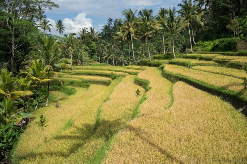 Bali: 6-Hour UNESCO Sites Cultural Walking Tour - Frequently Asked Questions